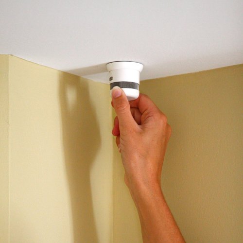 First Alert Atom Photoelectric Smoke & Fire Alarm P1000 - Serving ...